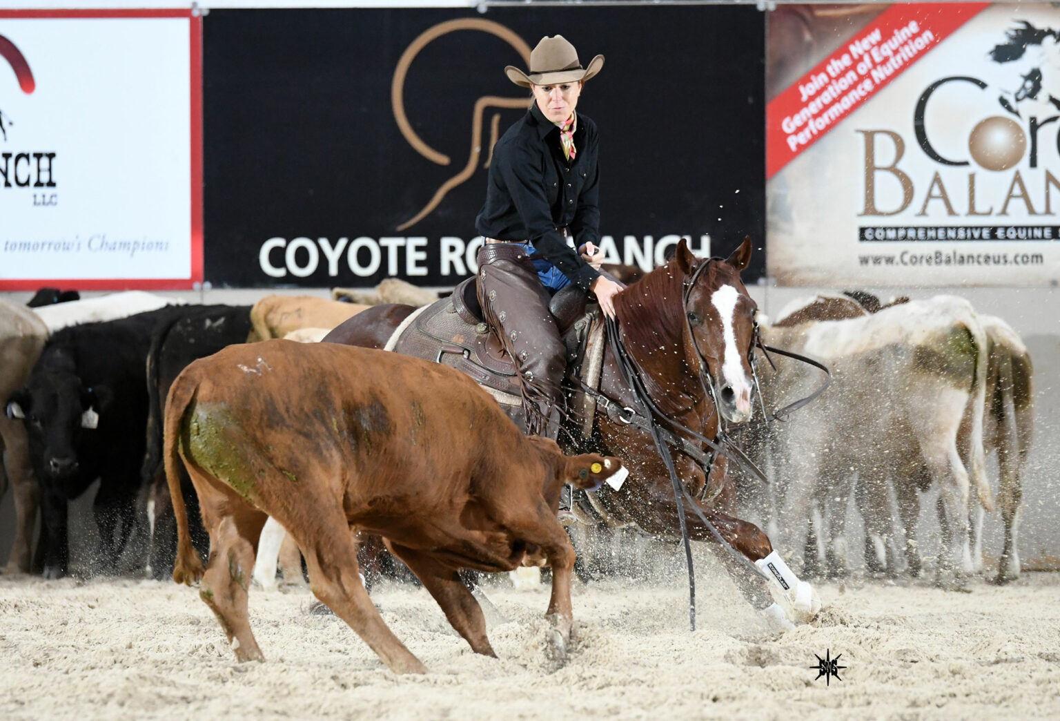 Constance Jaeggi Claims Second 2020 PCCHA Futurity Championship – J ...